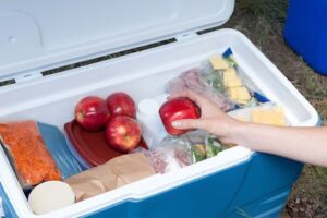 Ultimate Guide: How To Keep Food Frozen While Traveling - What We Love ...