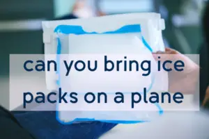 Can You Bring Ice Packs on a Plane? TSA Rules - What We Love To Do